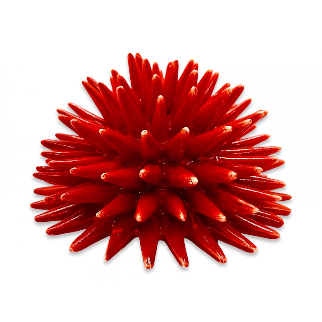 Riccio Caprese 16.5 x 12 cm